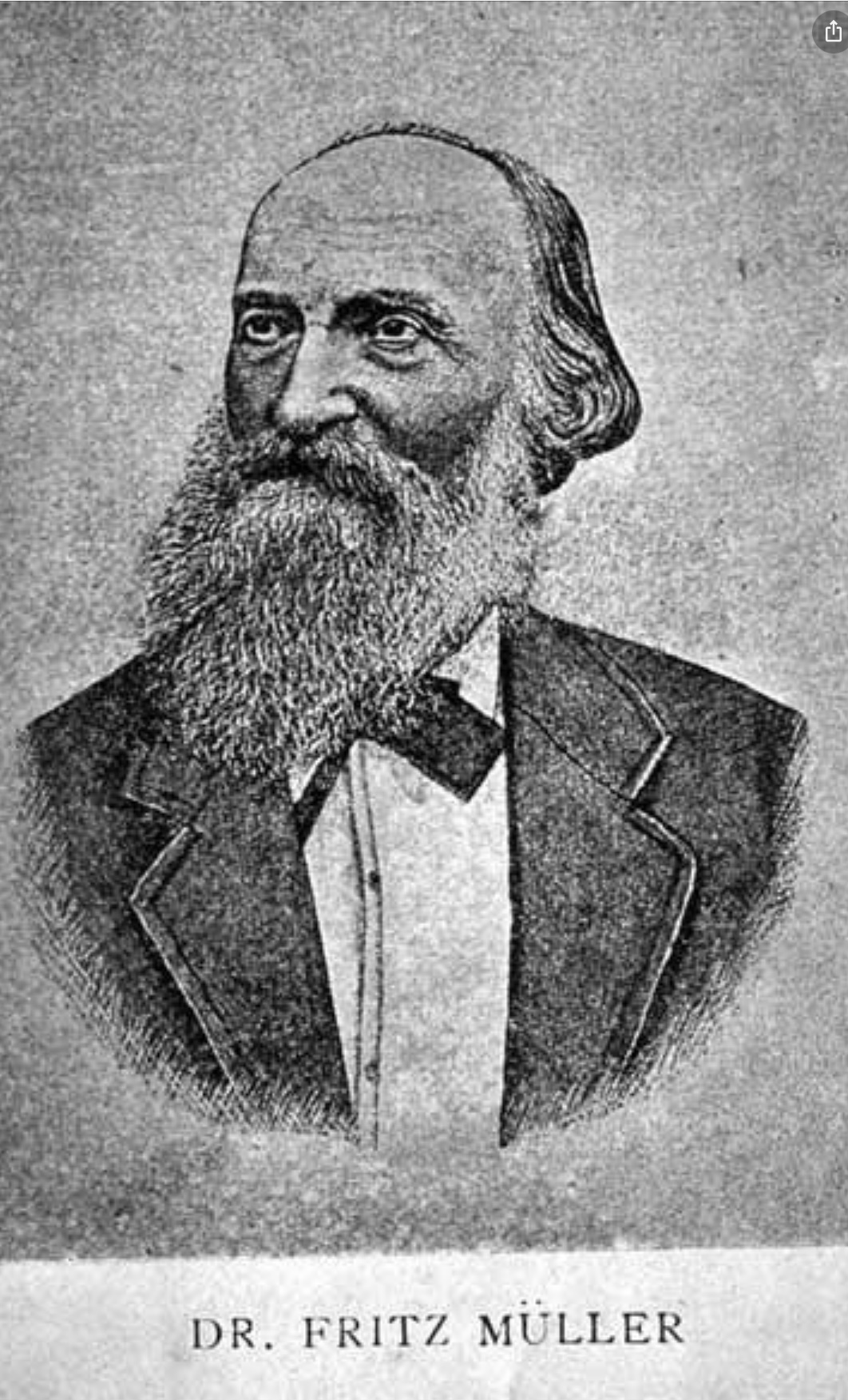 200 Anos de Fritz Müller - Fernanda Nasser | Social News